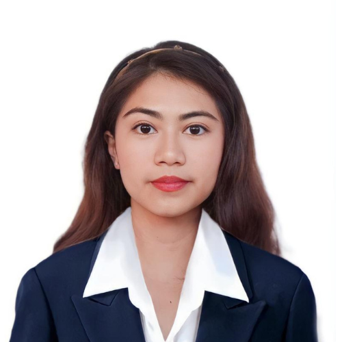 About GigaProfessional